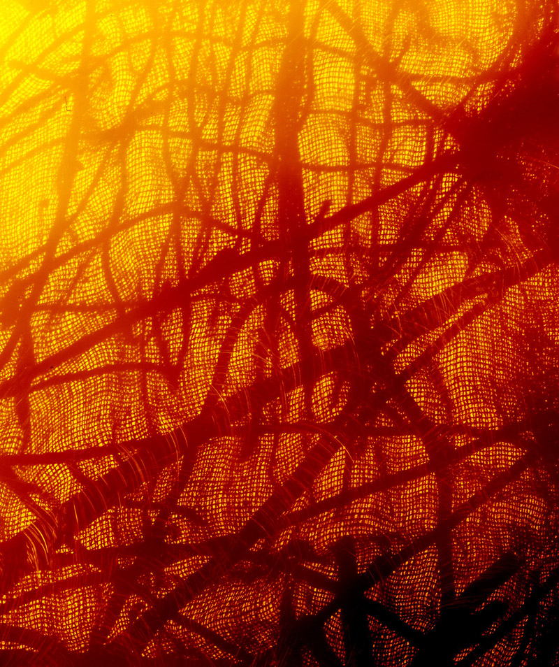 Alexander James – View from the Shoreline – Considering Art