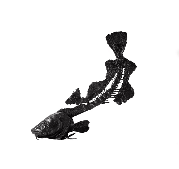 in-cod-we-trust – Considering Art