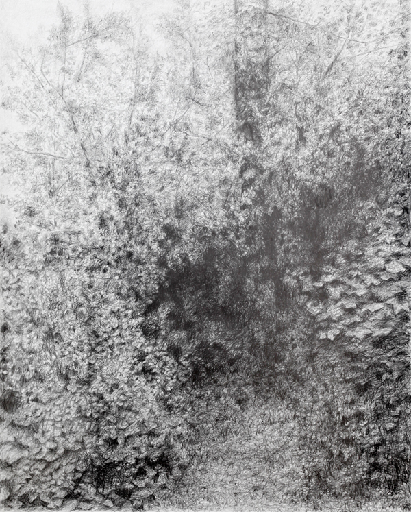 Considering Art Podcast – Emma Coop, landscape artist – Considering Art