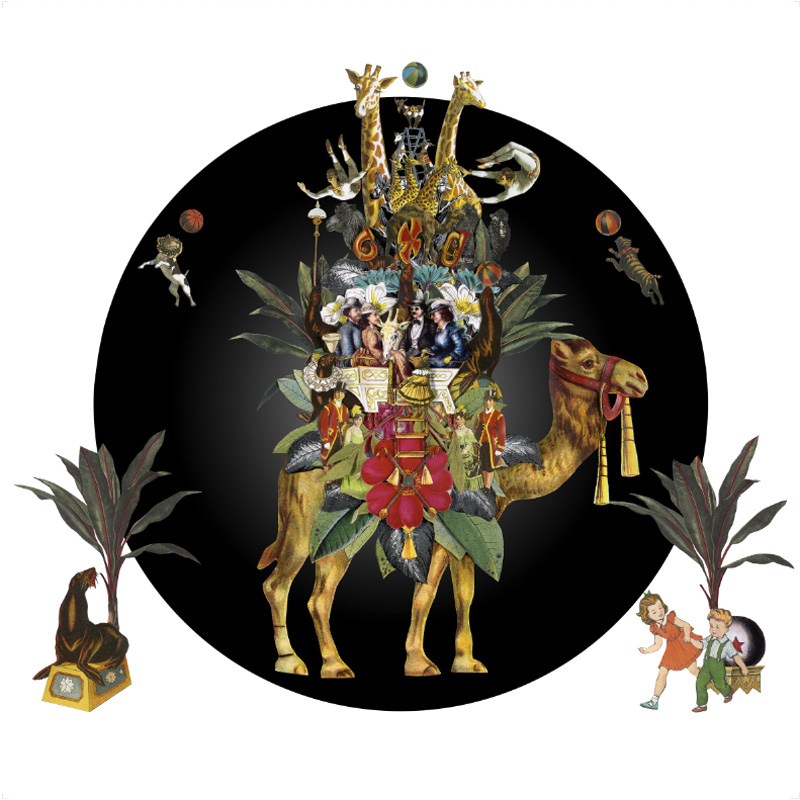 animal-attraction – Considering Art