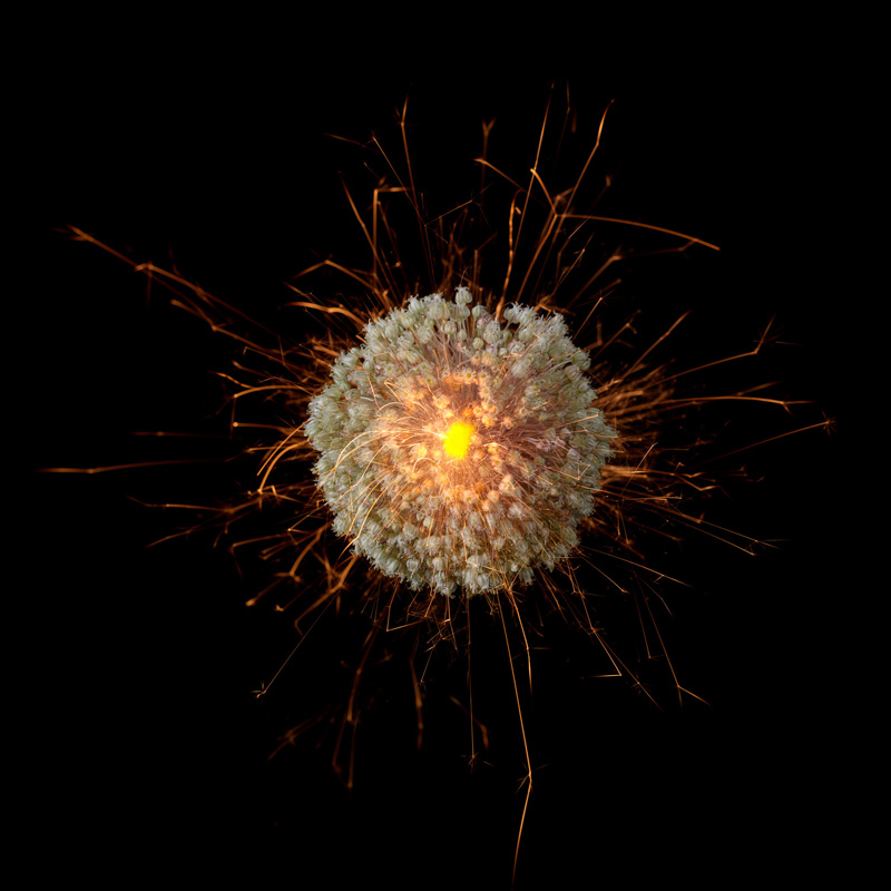 Considering Art Podcast – Alexander James Hamilton, photographer and ...